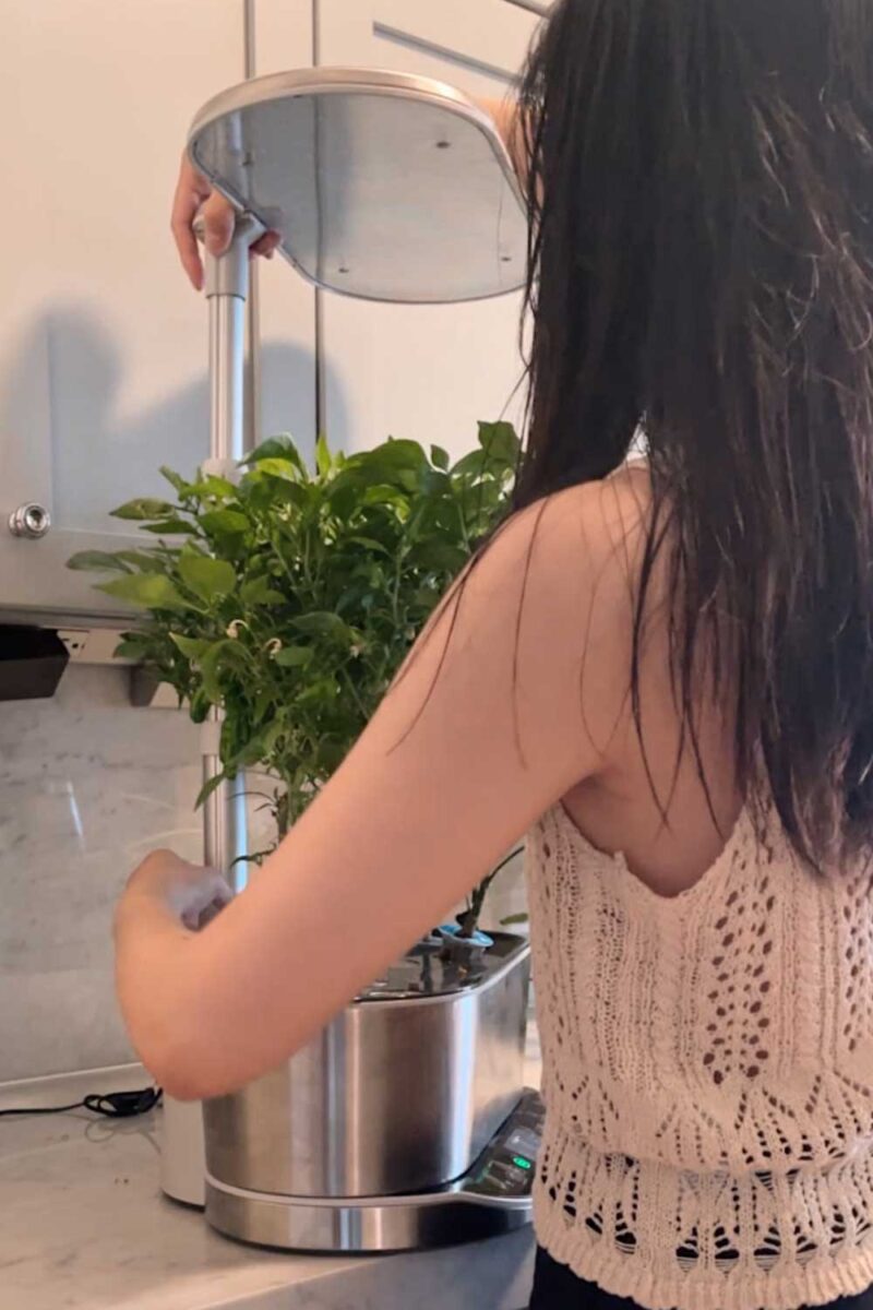 Aerogarden vs Click & Grow: Which is Better?