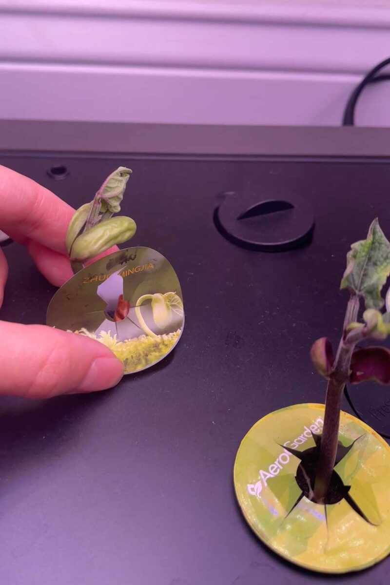 How to Make Your Own Aerogarden Replacement Pods