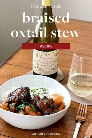 Chinese Braised Oxtails in Tomato Stew