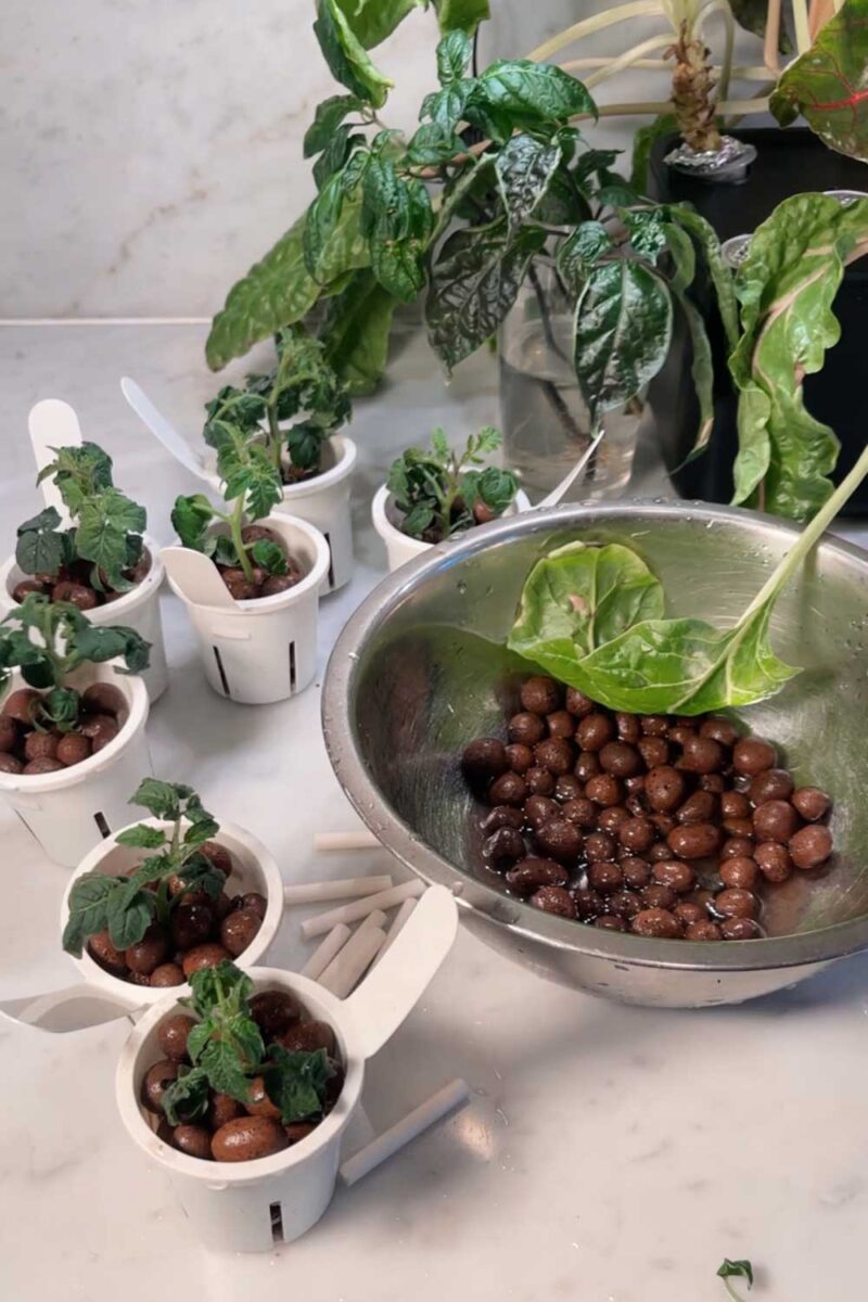 Click & Grow Review: Is the Smart Garden Worth It?