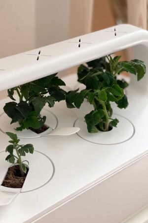 Click & Grow Review: Is the Smart Garden Worth It?