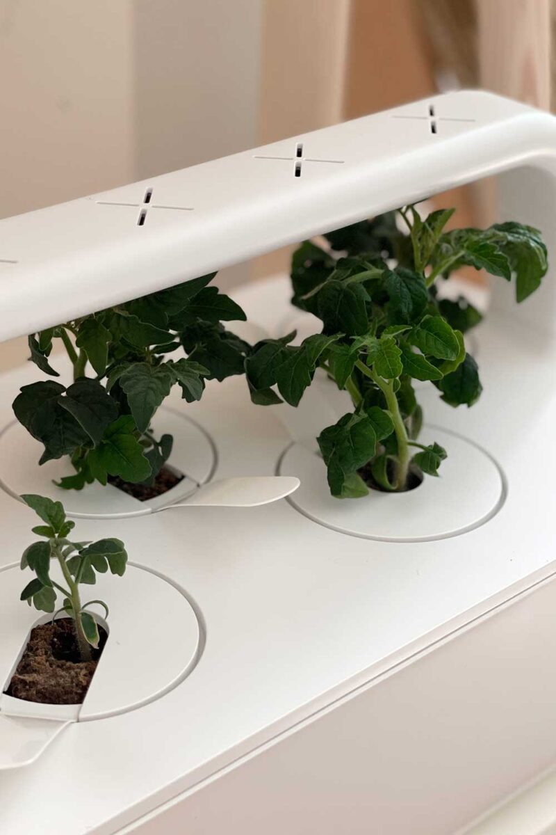 Click & Grow Review: Is the Smart Garden Worth It?