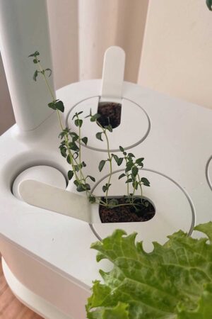 Click & Grow Review: Is the Smart Garden Worth It?