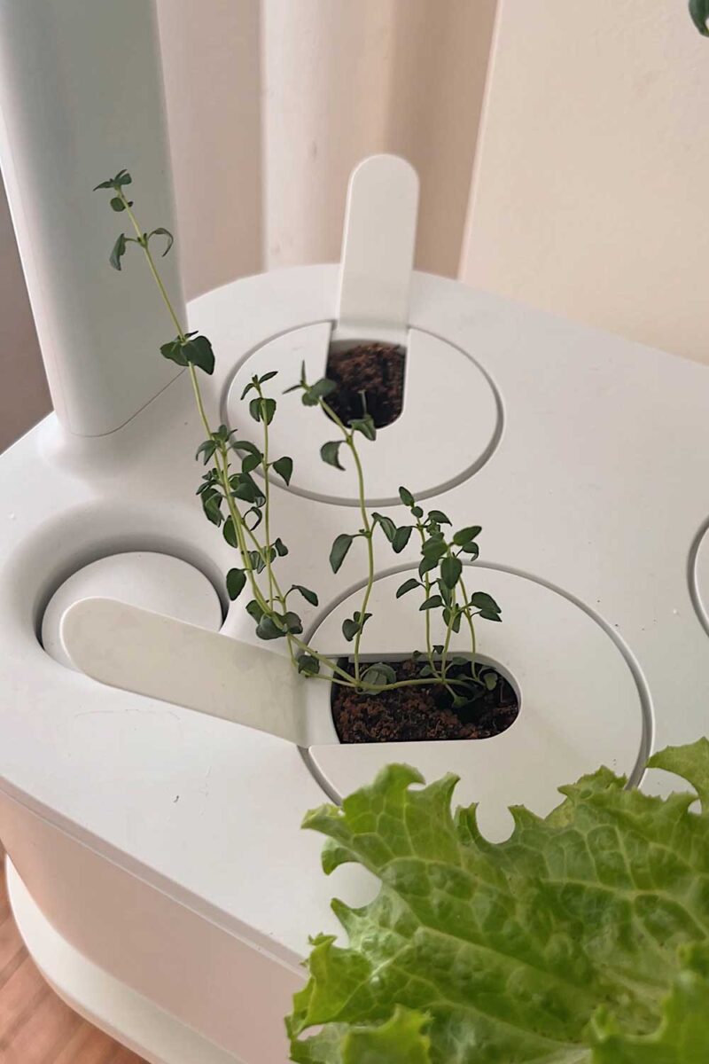 Click & Grow Review: Is the Smart Garden Worth It?