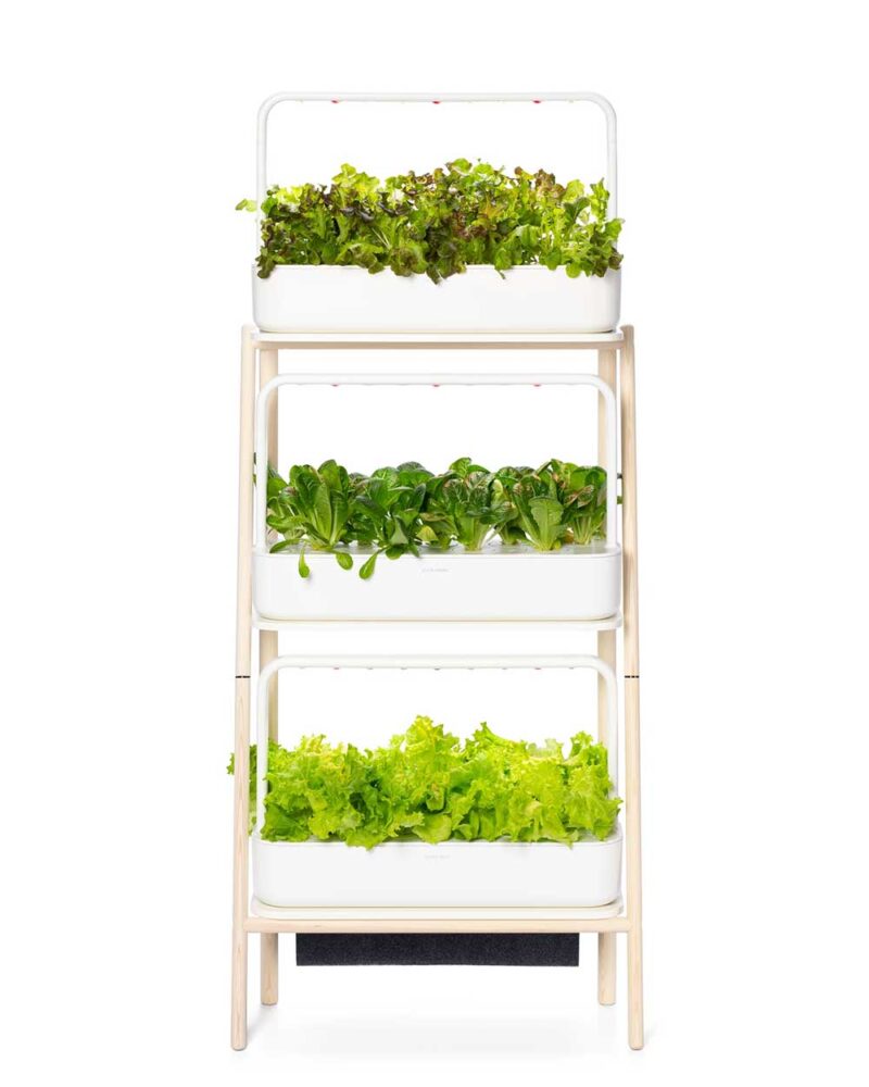 Click & Grow Review: Is the Smart Garden Worth It?