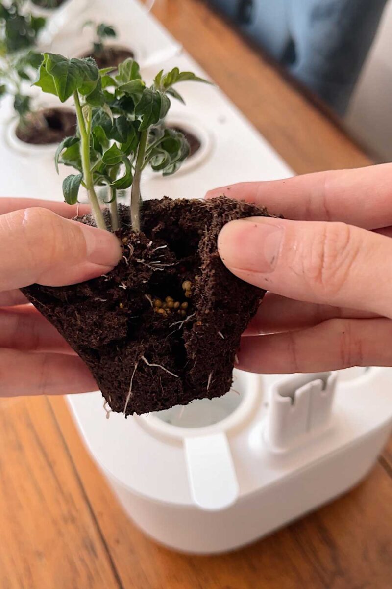 Click & Grow Review: Is the Smart Garden Worth It?