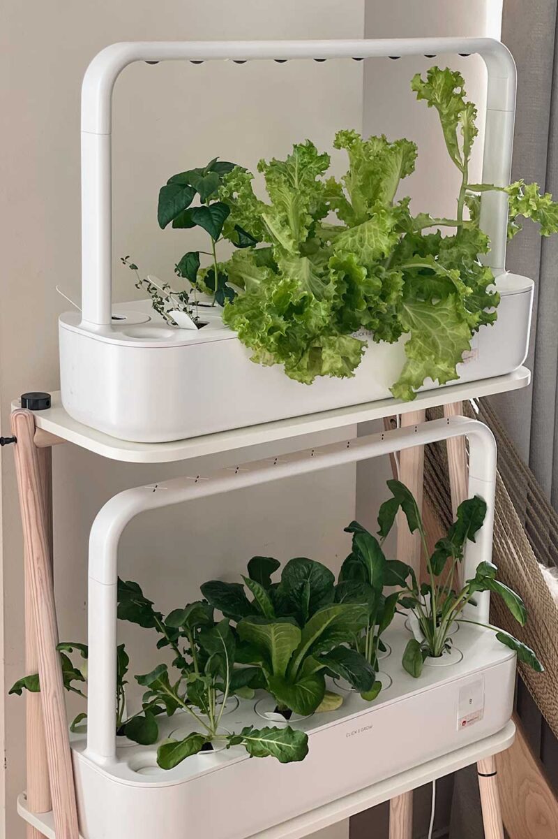 Aerogarden vs Click & Grow: Which is Better?