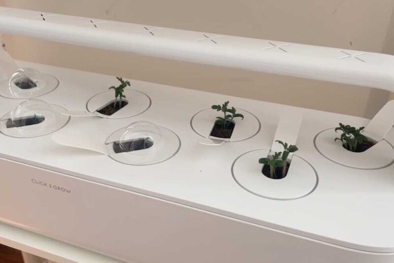 Click & Grow Review: Is the Smart Garden Worth It?