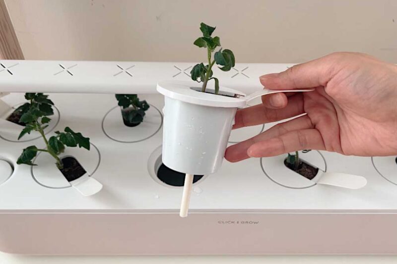 Click & Grow Review: Is the Smart Garden Worth It?