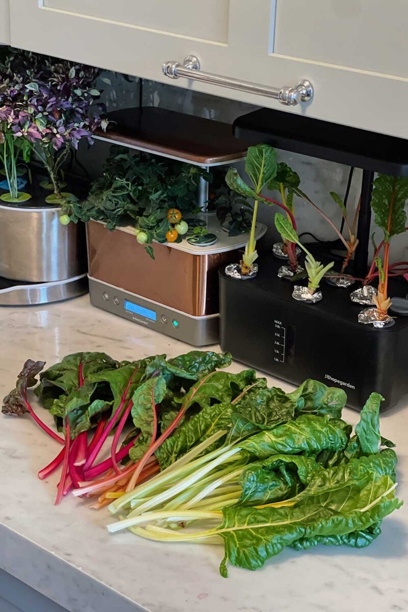 Click & Grow Review: Is the Smart Garden Worth It?