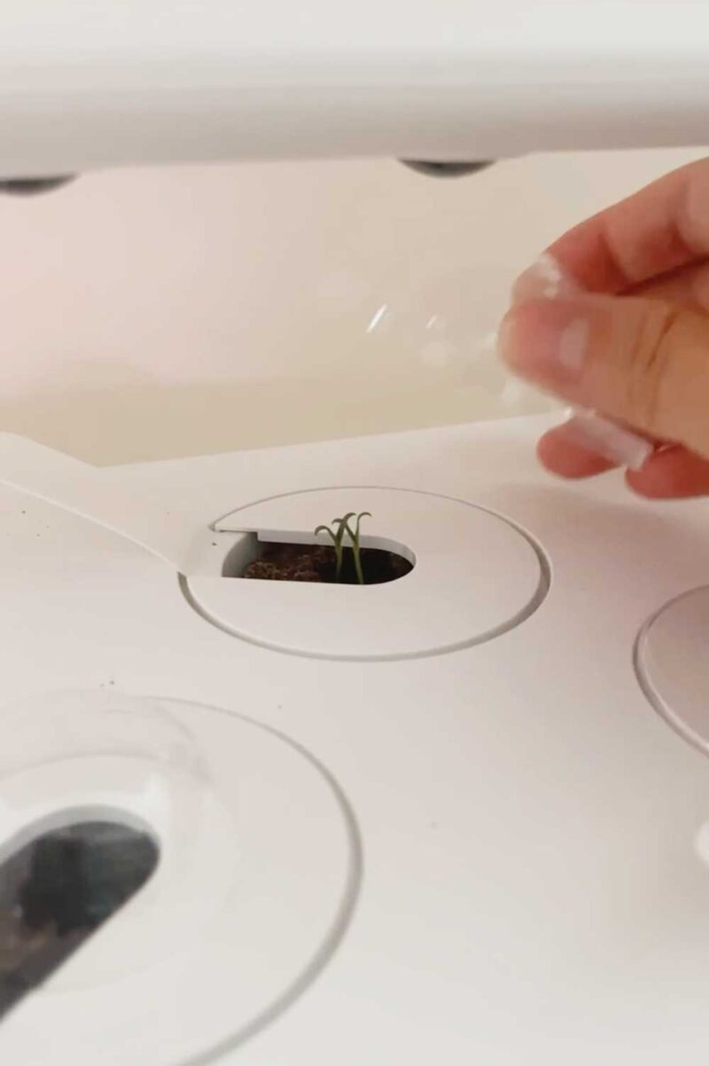 Click & Grow Review: Is the Smart Garden Worth It?