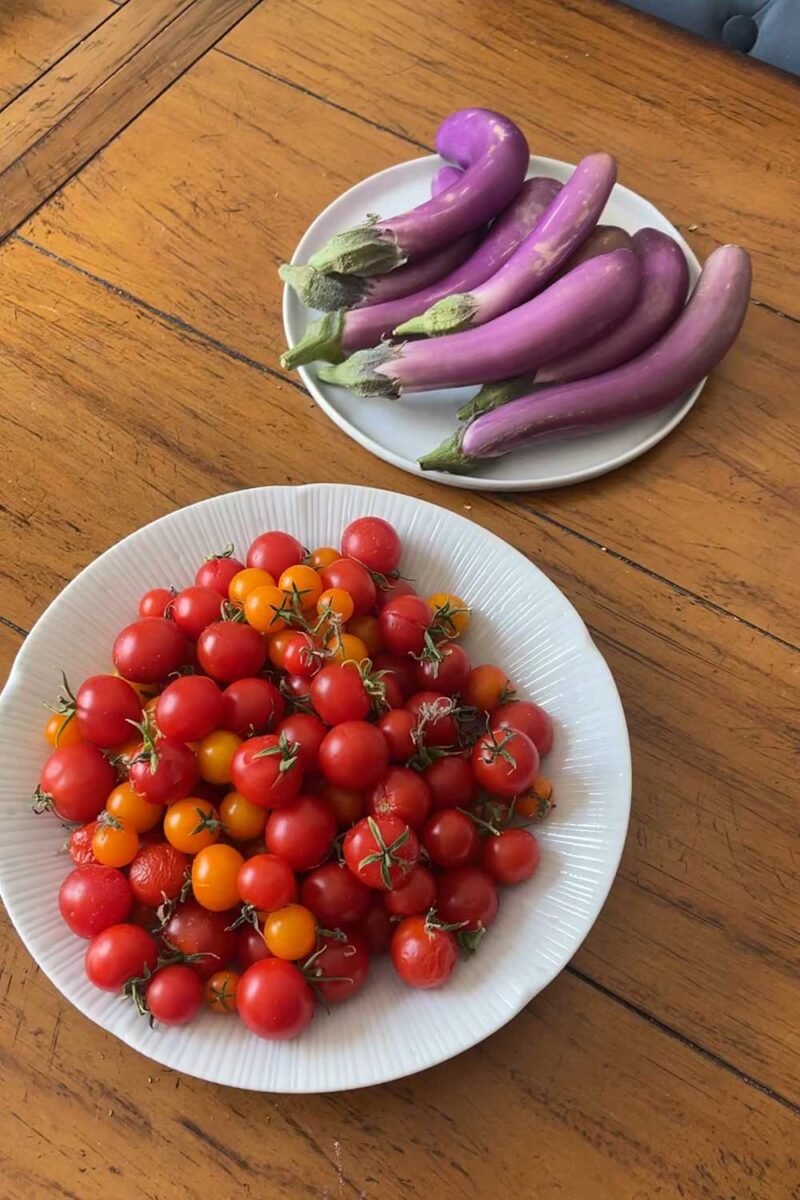 Mastering Nutrients: A Simple Guide to pH and EC in Hydroponics